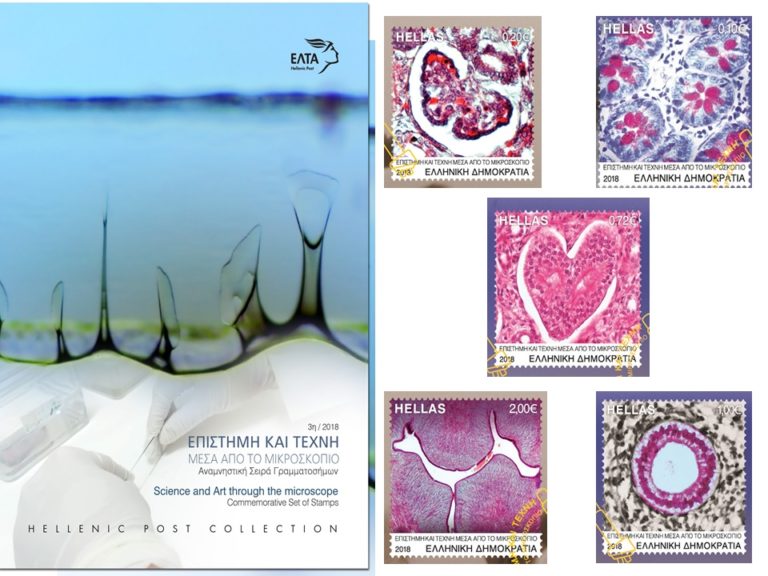 Bio-art Archives - Med in ArtMed in Art