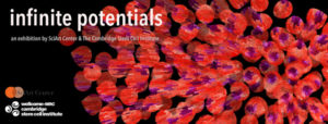 OPEN CALL “Infinite Potentials” / A joint exhibition by SciArt Center ...